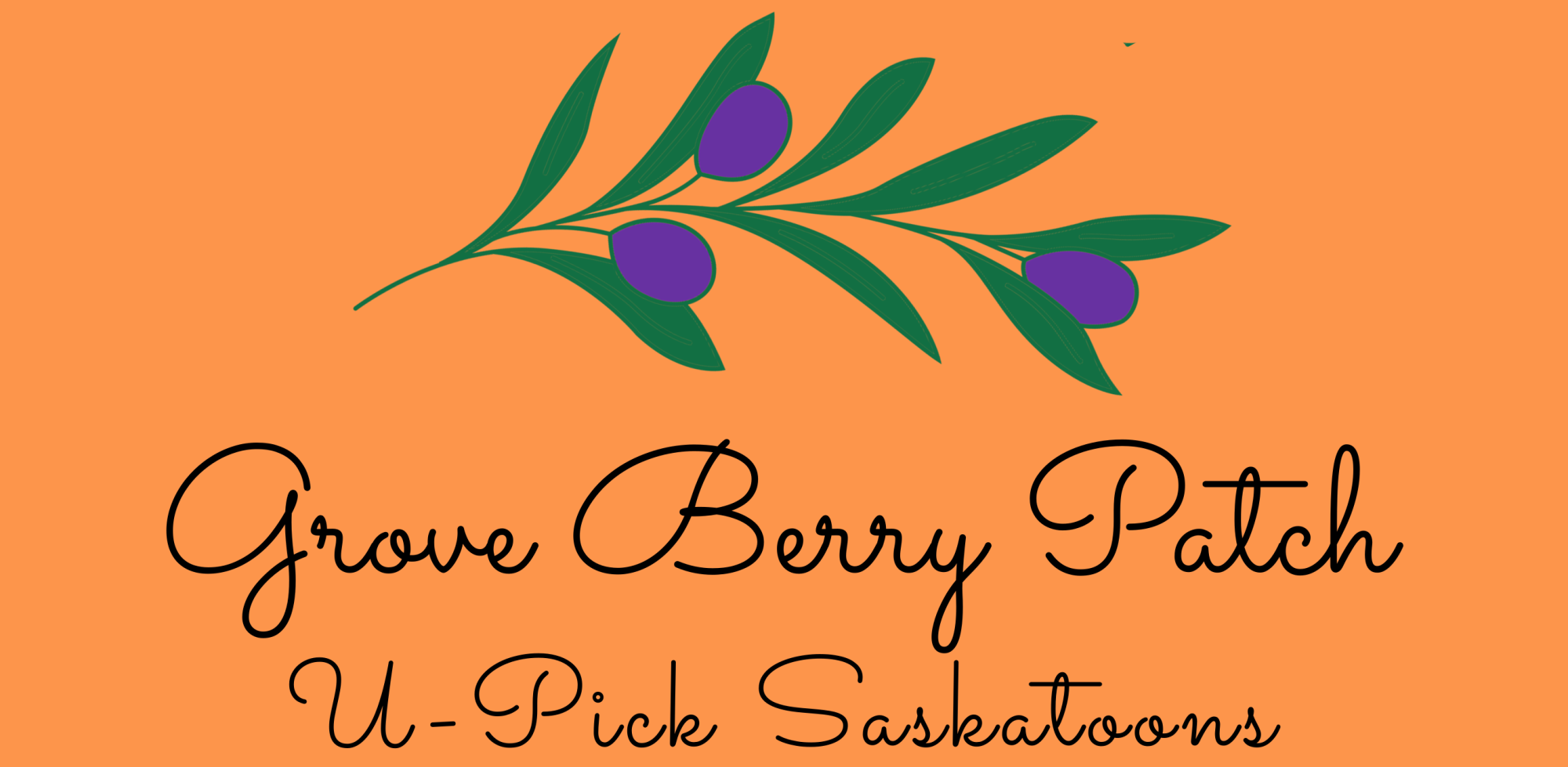 Saskatoon Berry Butter Tarts - Grove Berry Patch